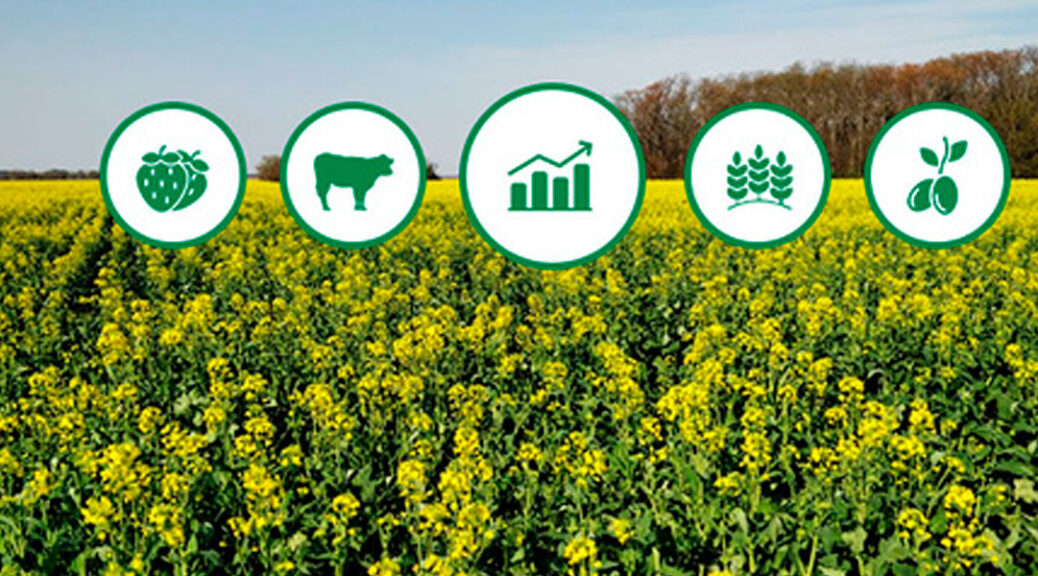 Breve resumen de nuestros proyectos - ADBlick Agro ::: Blog